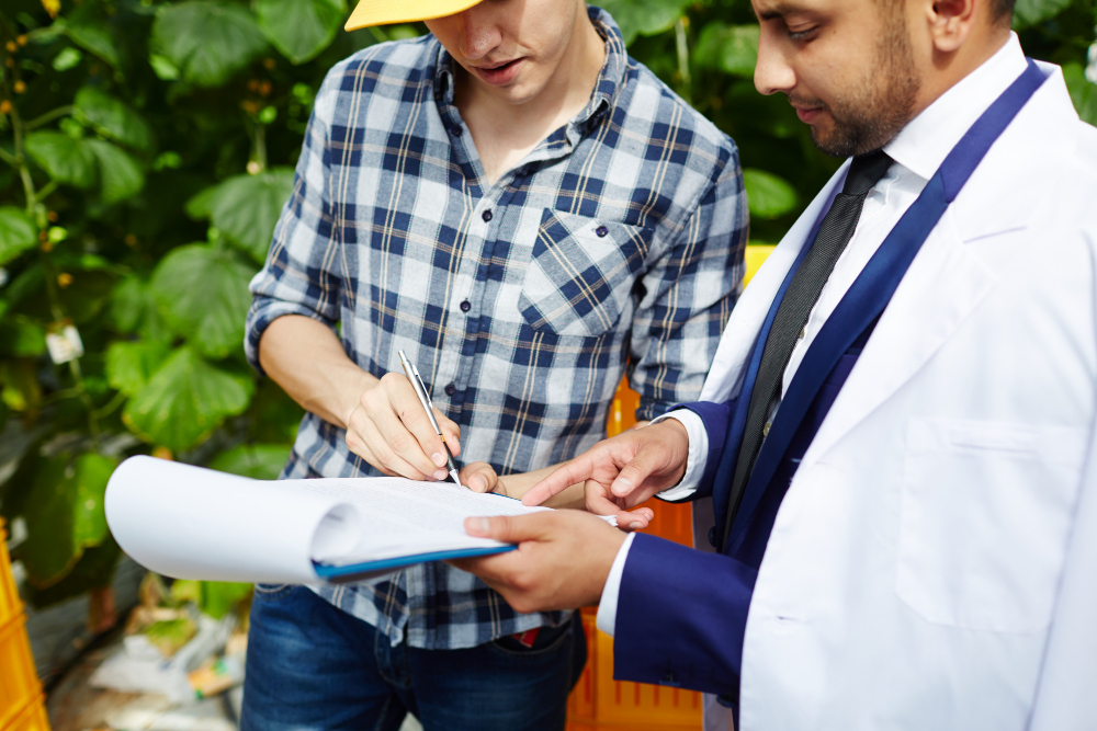 HICH LTD | Snagging Survey: Why Do You Need One? - HICH LTD